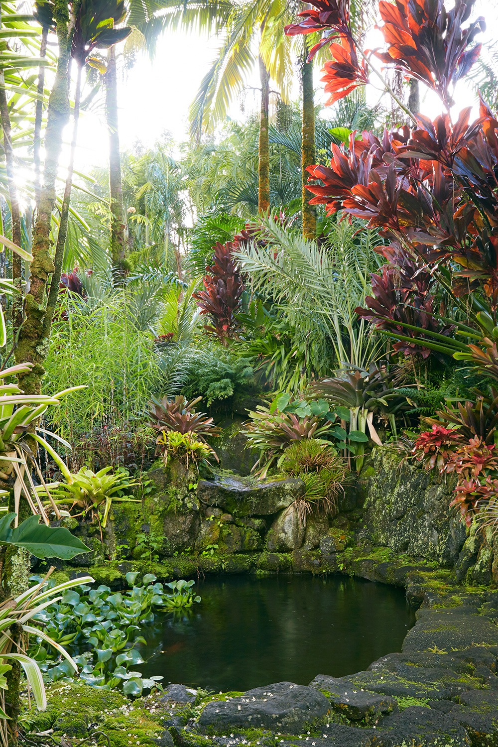 Photos | House Of The Palms